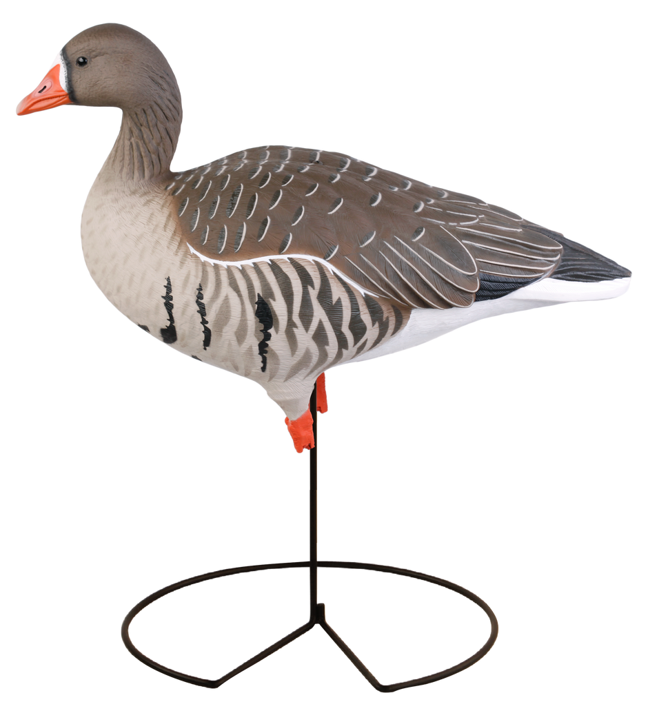 Field Decoys – Decoy Central