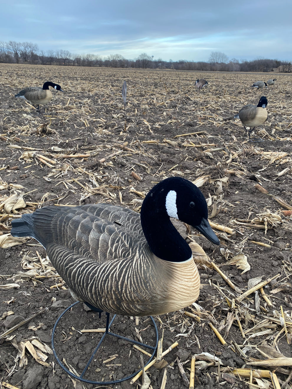 Super Blocks Flocked Full Body Canada Geese - 4 pack – Decoy Central