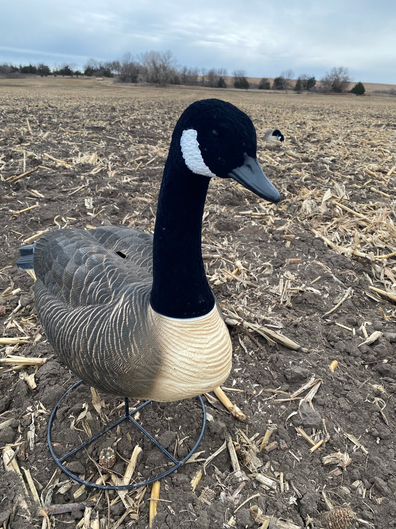 Super Blocks Flocked Full Body Canada Geese - 4 pack – Decoy Central