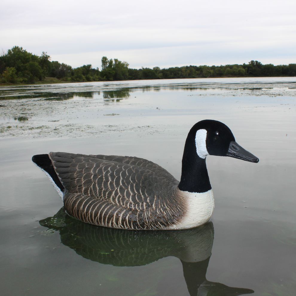 Super Blocks Flocked Canada Goose Floater - 4 Pack – Decoy Central